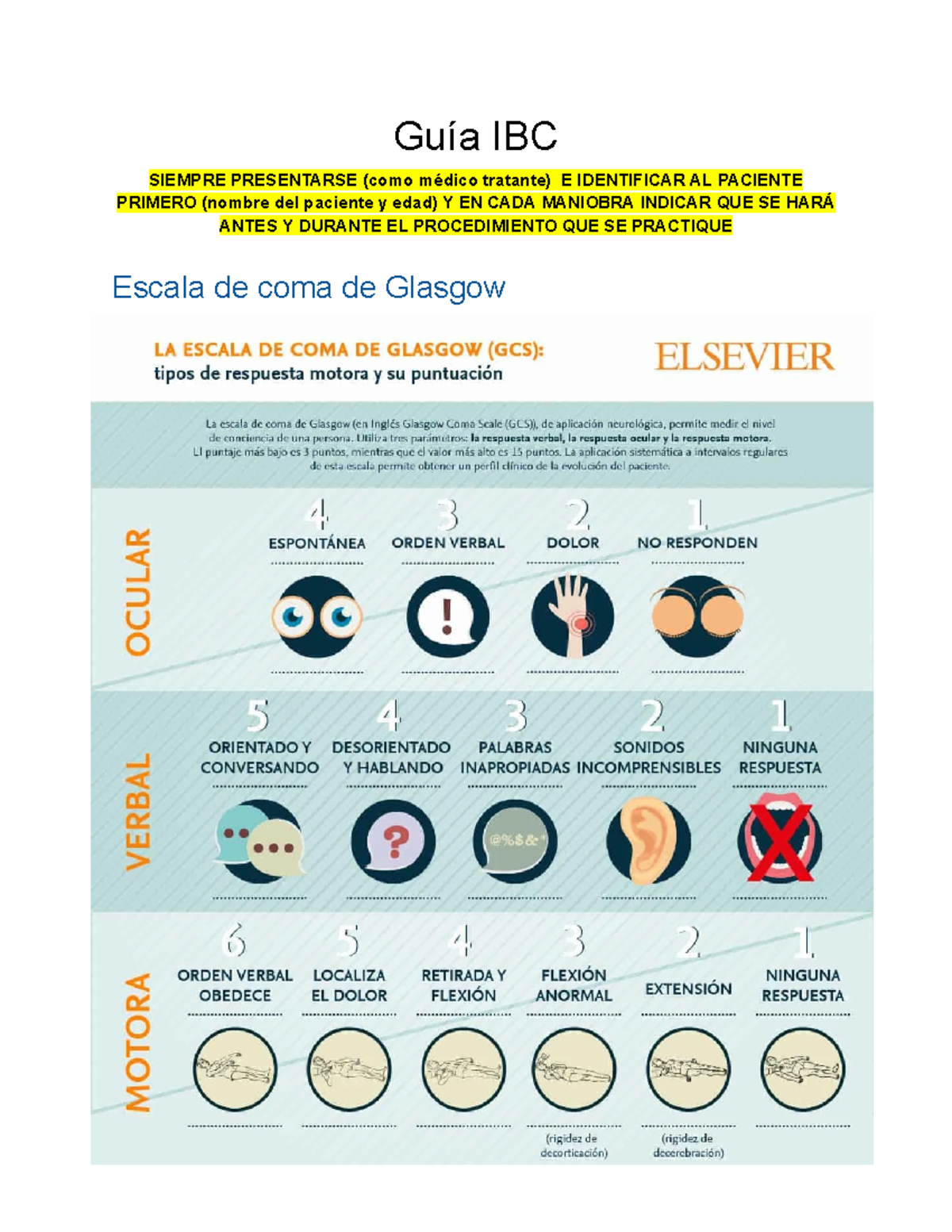 Guía de práctica parabasico clínico - Guía IBC SIEMPRE PRESENTARSE (como médico tratante) E ...