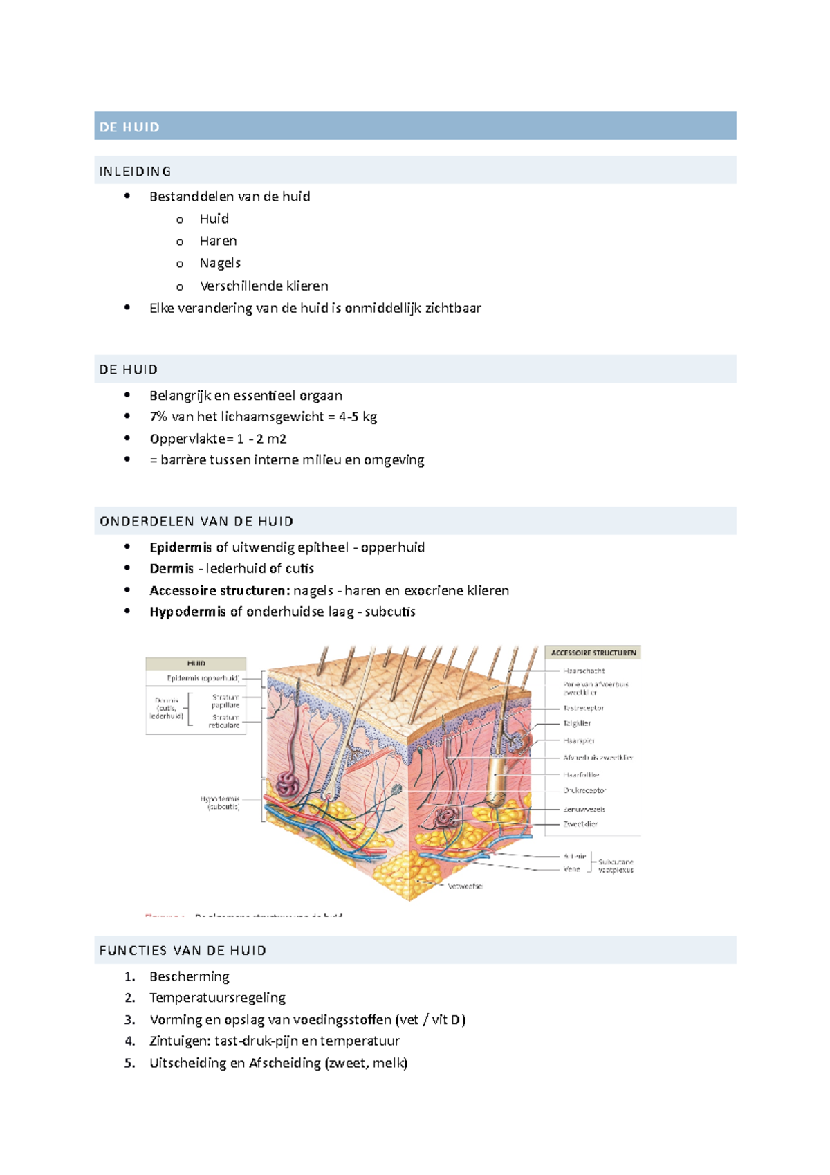 De huid - samenvatting van de huid - anatomie en fysiologie een ...