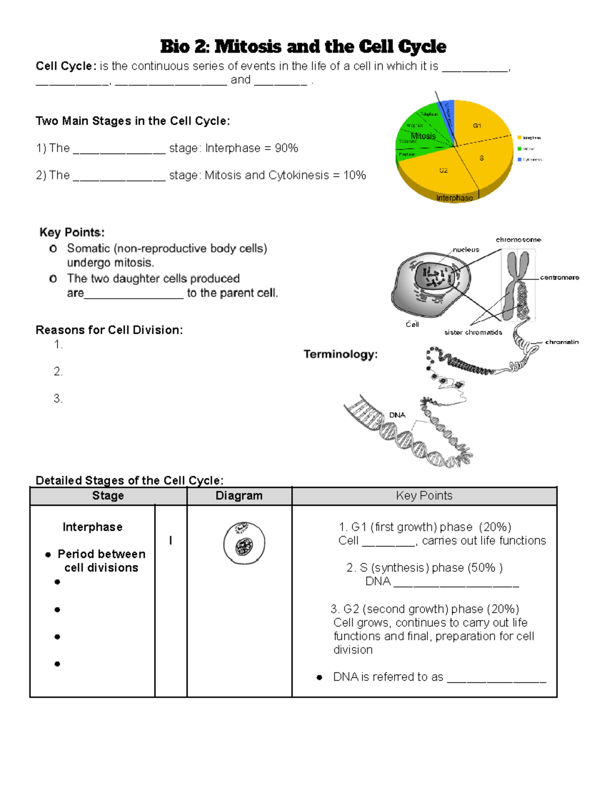 Cell Cycle - Biology grade 10 - lesson 2 - Bio 2: Mitosis and the Cell ...