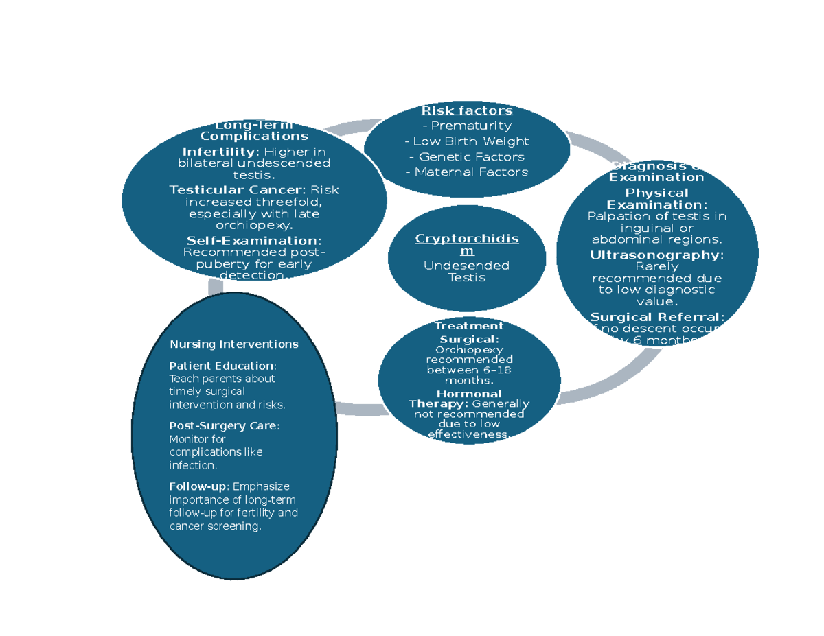 Concept map - journal reading - Cryptorchidis m Undesended Testis Risk ...