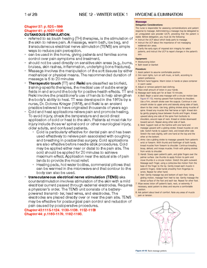 Bubble HE- assessment - BUBBLEHED Assessment Handout Breasts- 1 ...