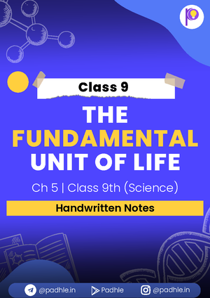 Motion - Padhle 9th Science Notes - computer programming - MOTION Class ...