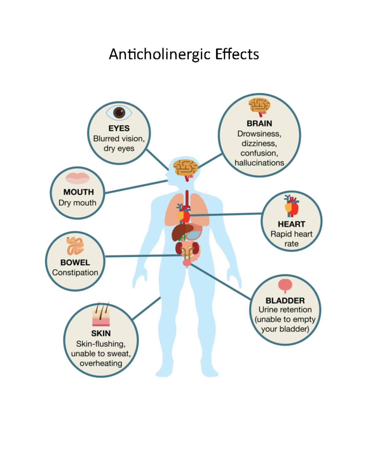 Anticholinergic Effects - Studocu