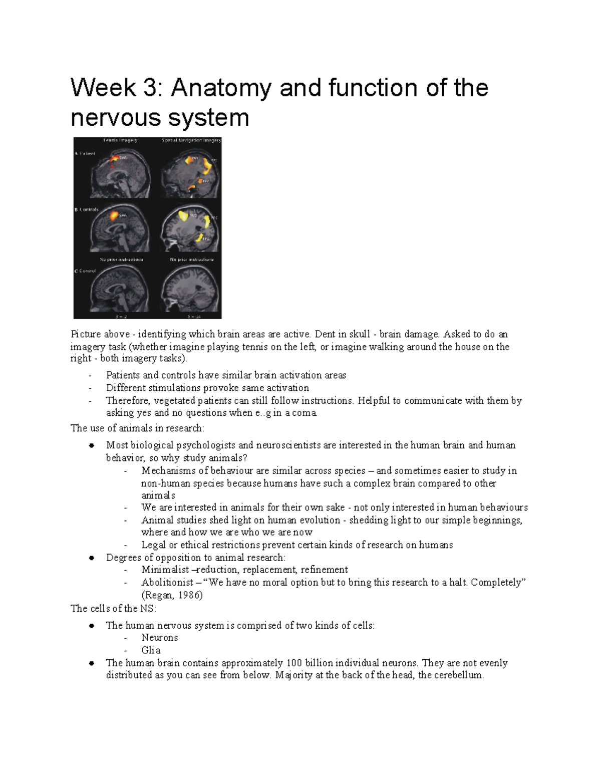 Anatomy and function of the nervous system - Week 3: Anatomy and ...