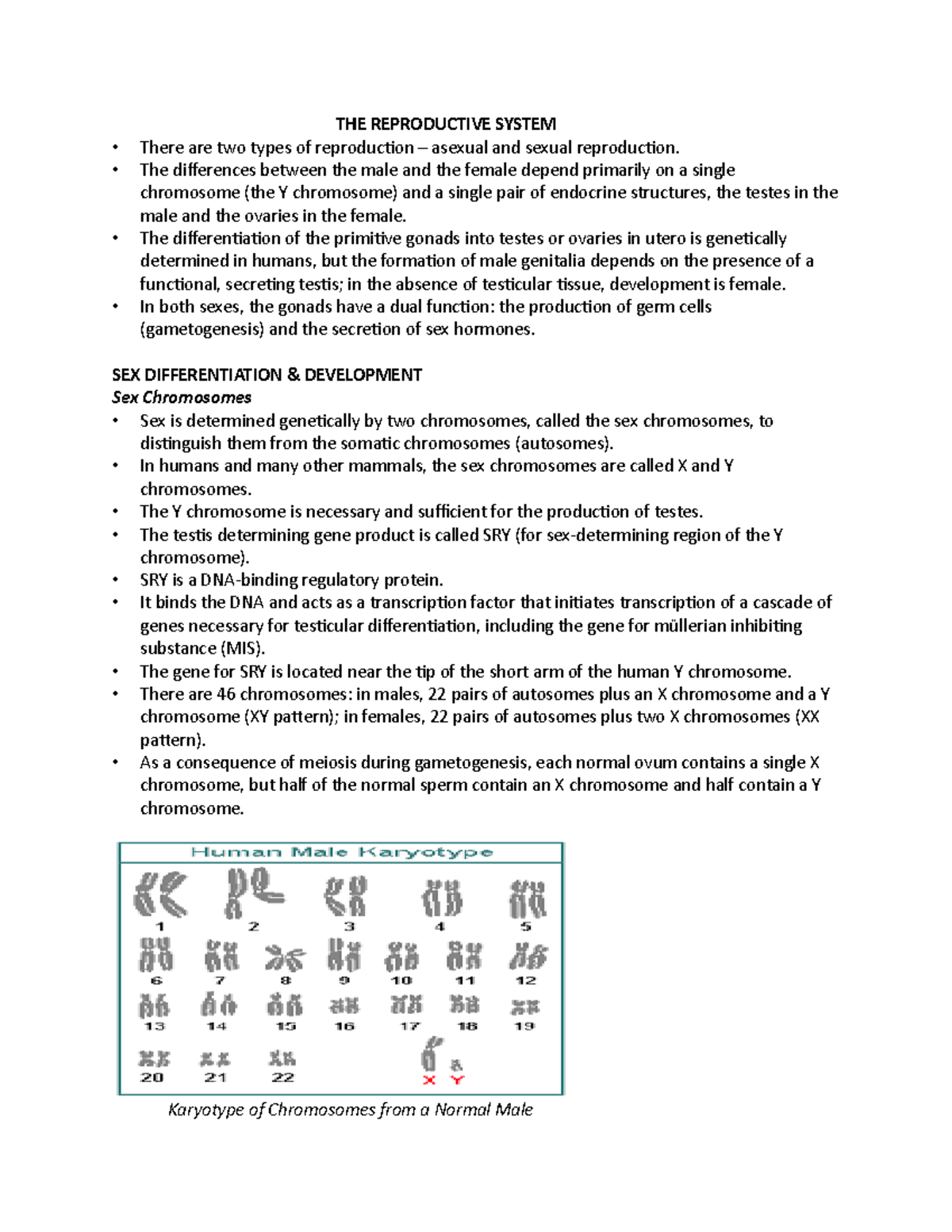 Slide copy of Reproductive System - THE REPRODUCTIVE SYSTEM There are ...