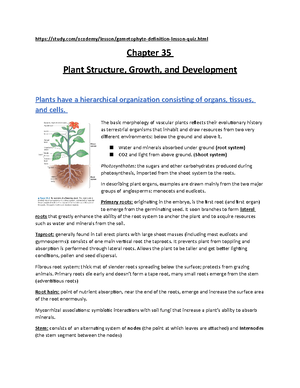BIOL 225 Transcript PFF2 Plant structure and growth - Title: Plant ...