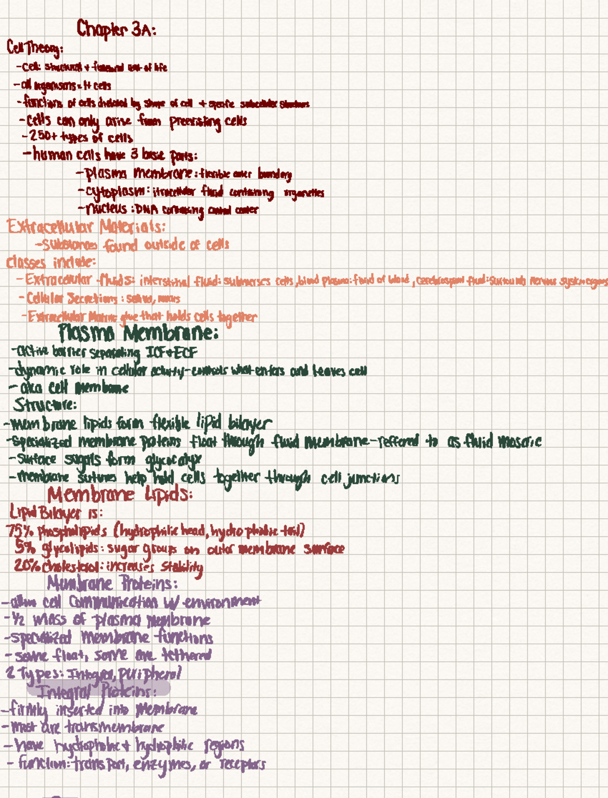 Chapter 3A Notes - elltheory Chapter3A Cellstructural functional ...