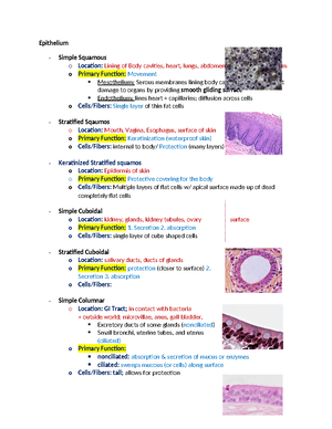 Skin Tissues - notes, images, acronyms on skin integument - zu ...