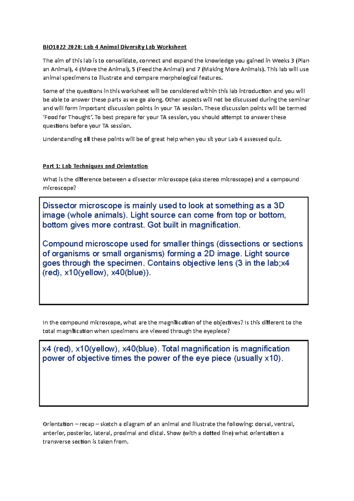 Lab 4 Animal Diversity Worksheet - BIO1022 2020: Lab 4 Animal Diversity ...