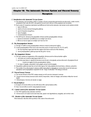 Chapter 5 the skeletal system - Chapter 5: the skeletal system Introduction skeletal system ...