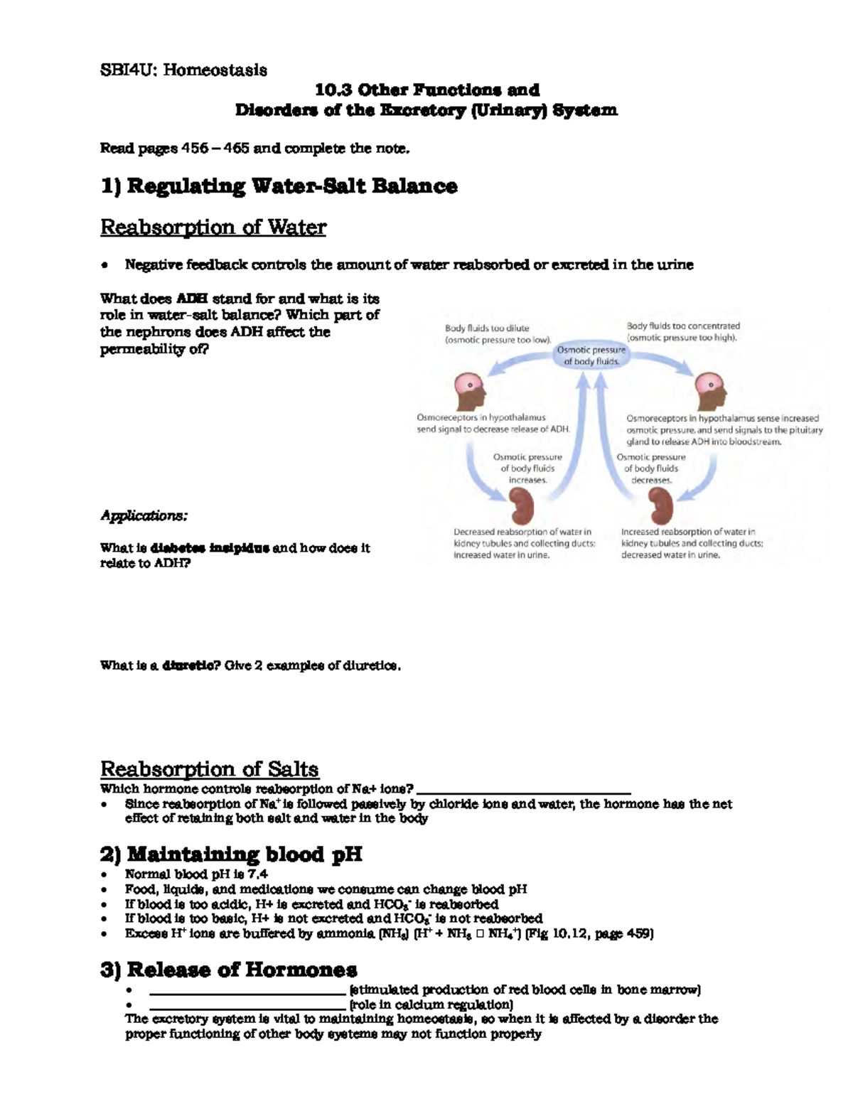 10.3 Other Functions and Disorders of the Excretory System - SBI4U ...