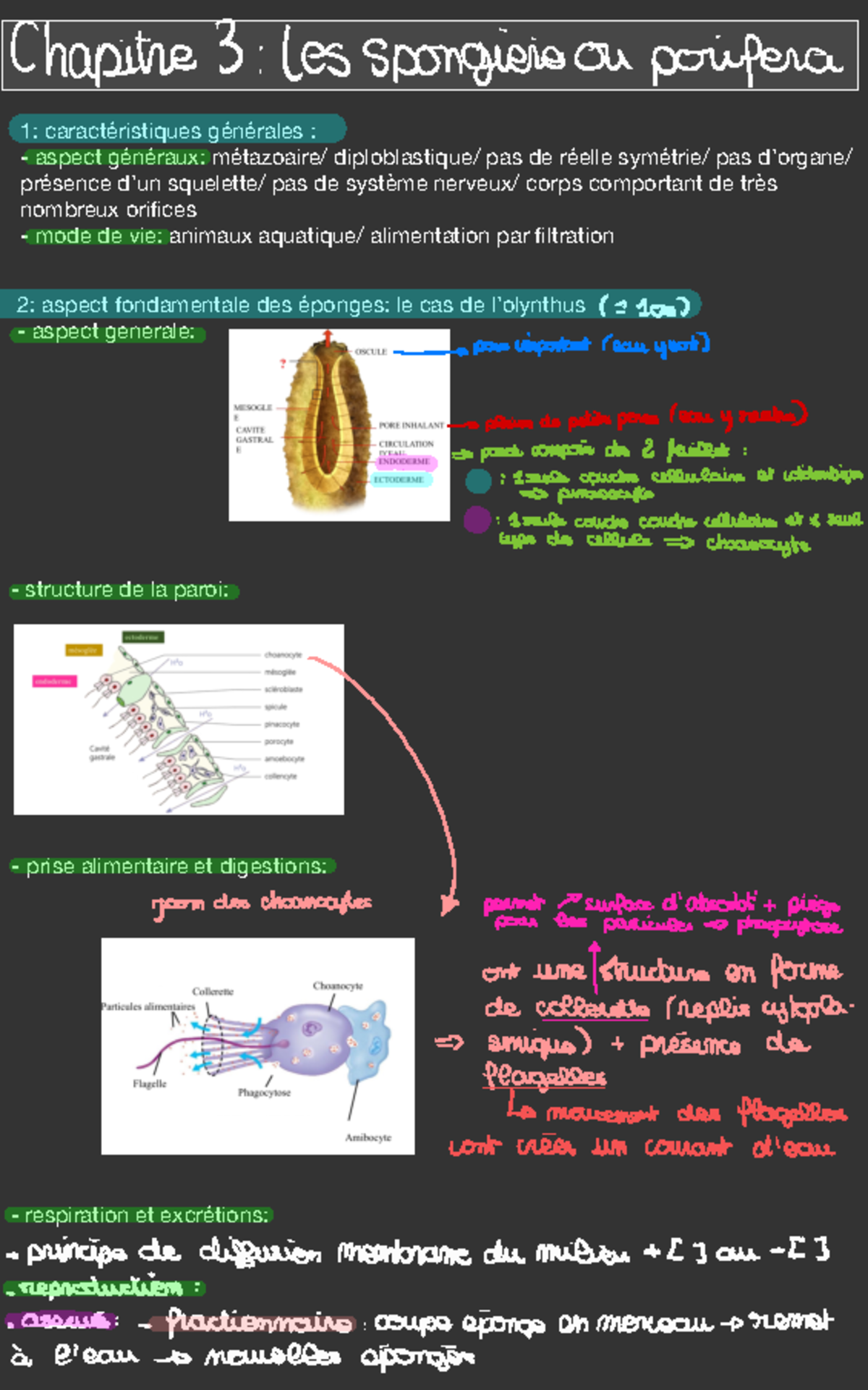 Fiche BOA chap 3 - 1: caractéristiques générales : aspect généraux ...