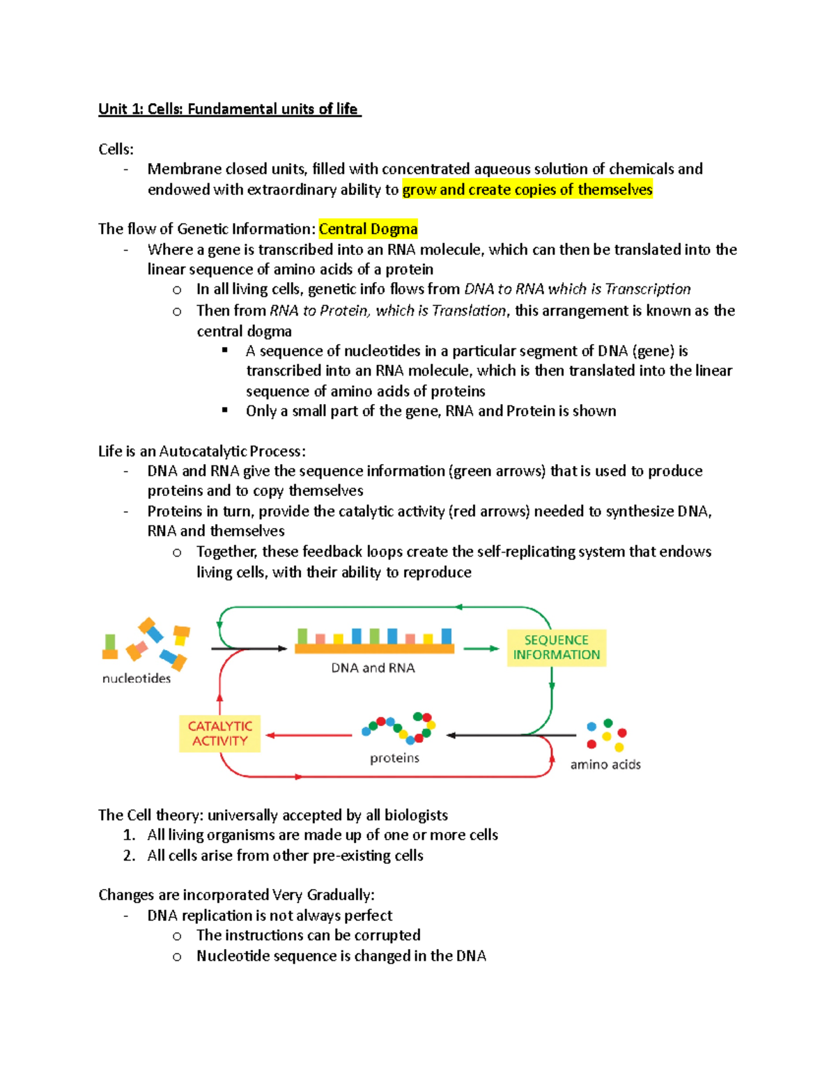 Unit 1 - Unit 1 Notes - Unit 1: Cells: Fundamental units of life Cells ...