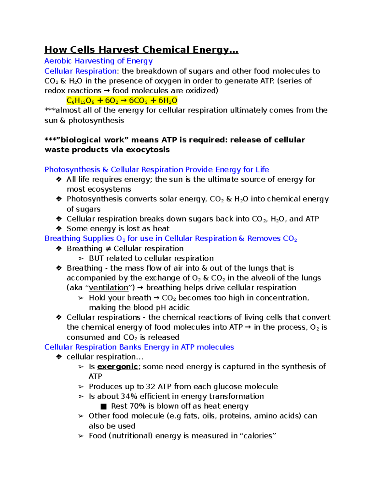Ch. 6 notes - Professor Salvatore's in class lecture. - How Cells ...