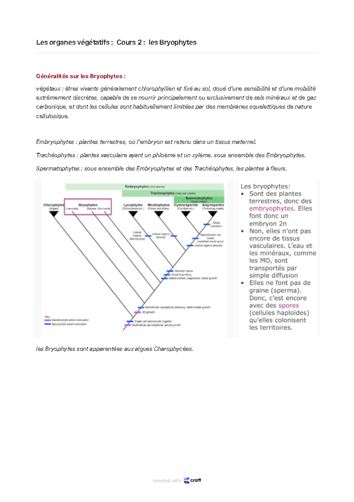 Programme 1 - Cours 1 L1 SVTE Biologie végétale - Les organes ...