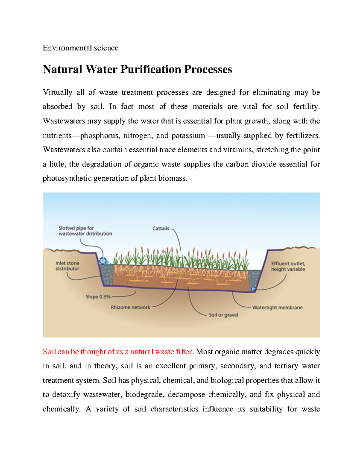 Natural Water Purification Processes - Environmental science Natural ...