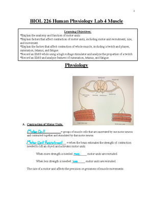 Physio+Lab+Report+07 - BIOL 226 Human Physiology Lab 7 Digestive ...
