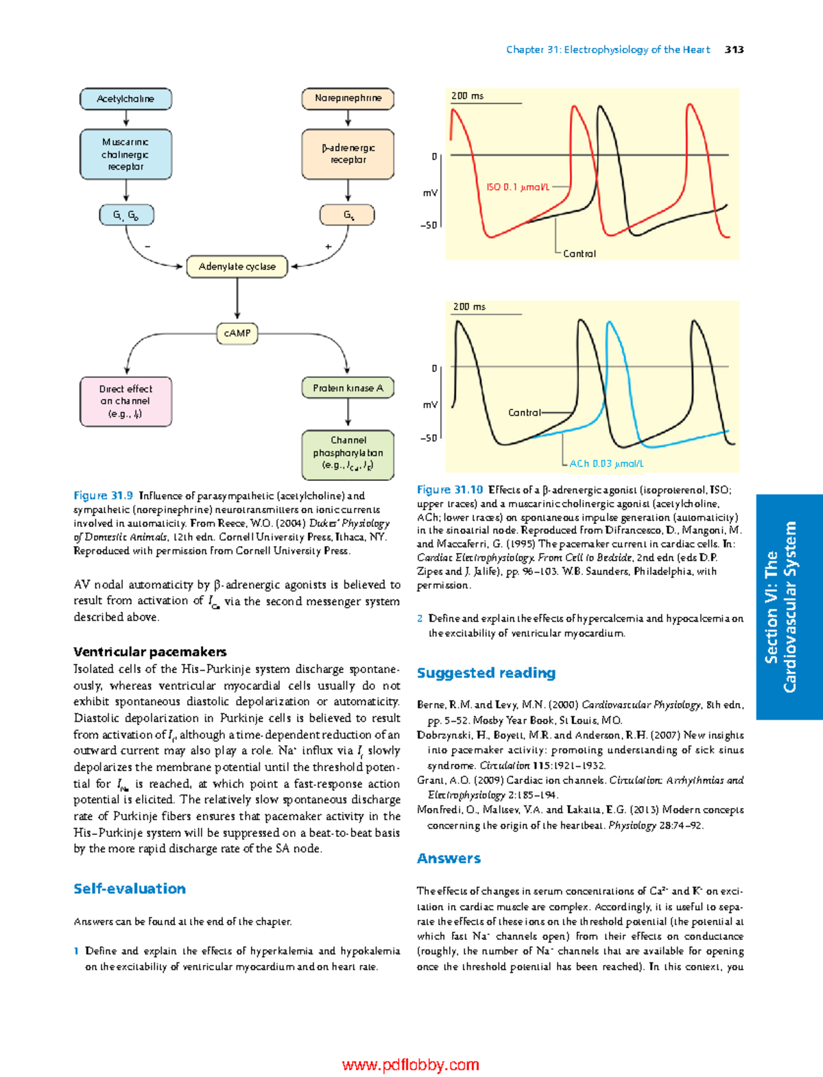 Text book-327 - Geologi teknik - Chapter 31: Electrophysiology of the ...