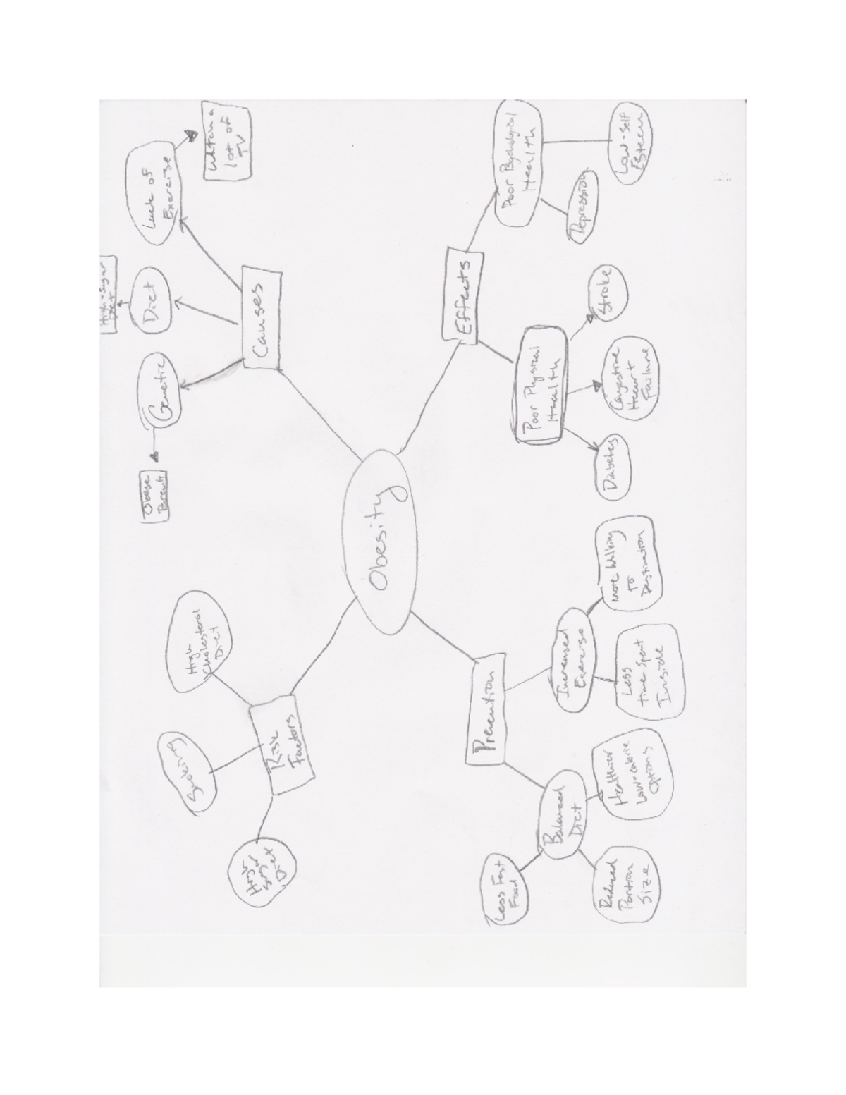 Lesson 6 Obesity Concept Map - Obesity Concept Map Creating a concept ...