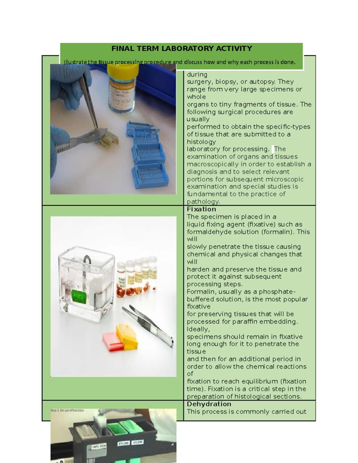 Answersheet Histopath Final - Examination of tissue The tissues are ...