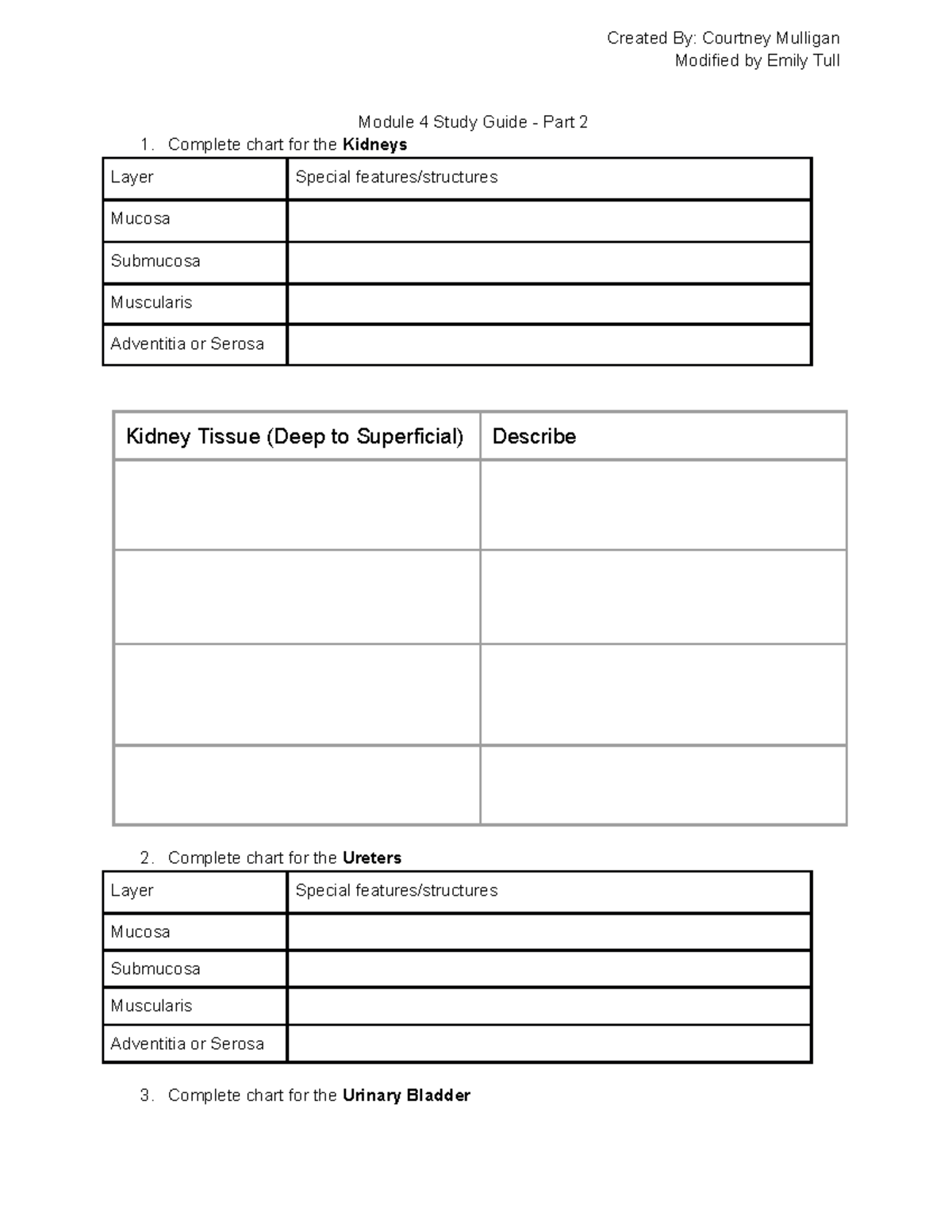 Copy of Module 4 Study Guide - Part 2 MJB - Created By: Courtney ...
