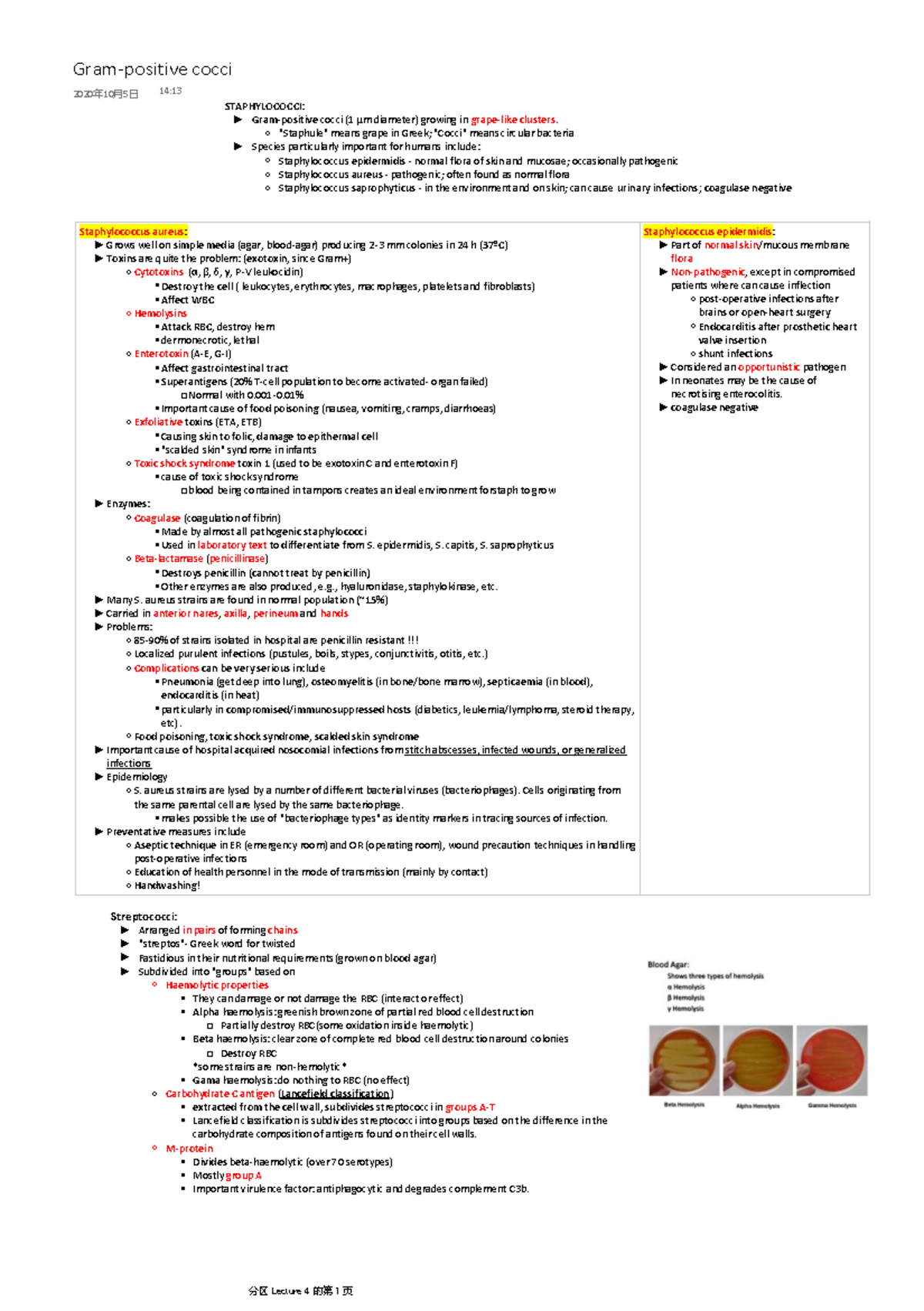 Lecture 4 Gram+ and Gram- Cocci - Grows well on simple media (agar ...