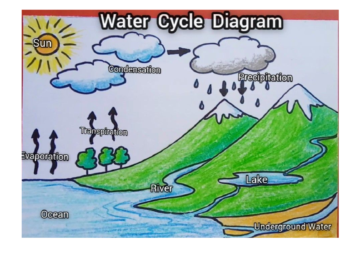 Water cycle - science - Education - Water Cycle Diagram Sun ...