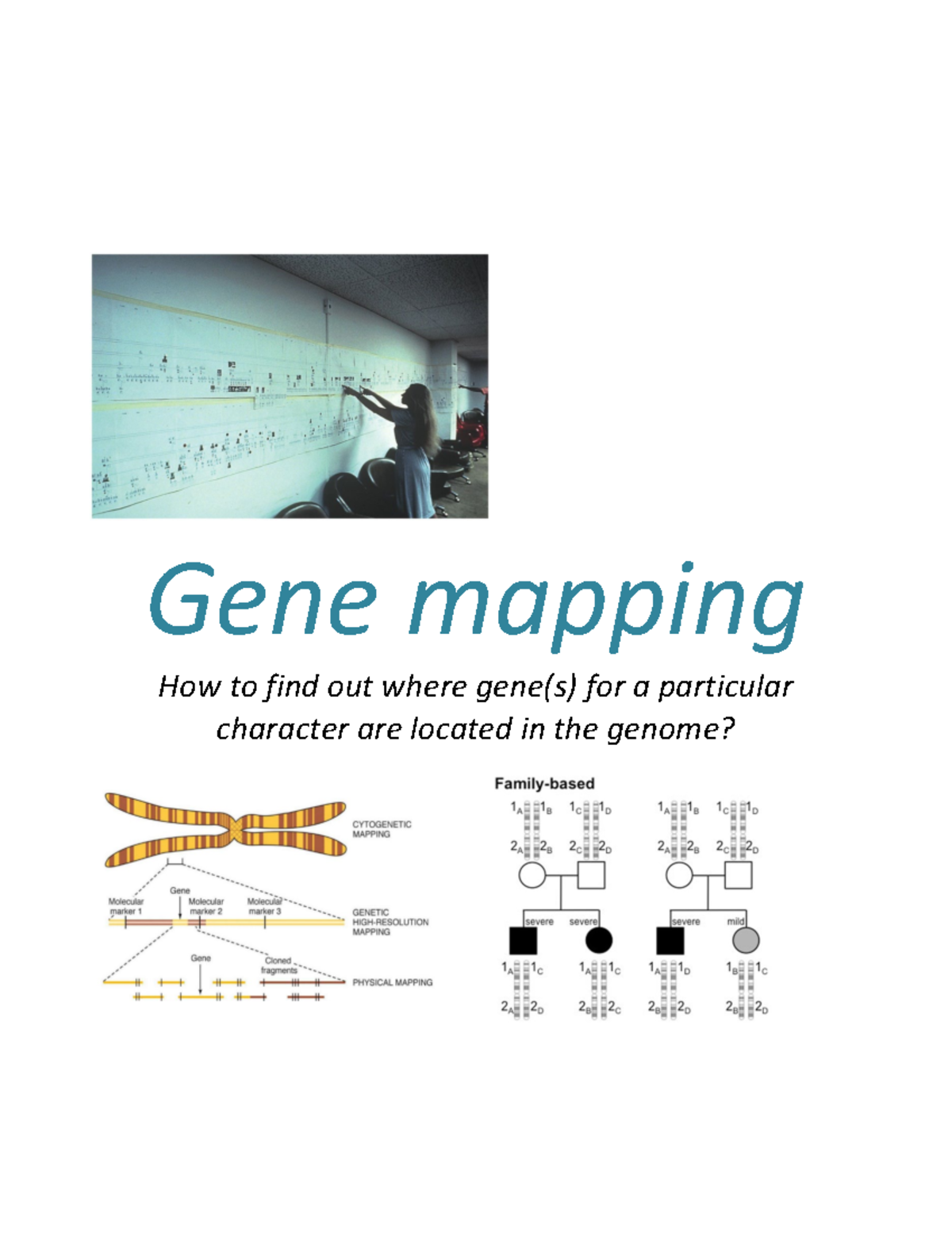 1-31 Mapping by Family-based Linkage - Gene mapping How to find out ...