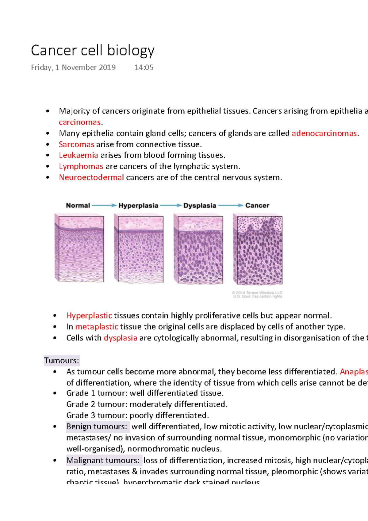Cancer cell biology - Lecture notes 1 - Warning: TT: undefined function ...