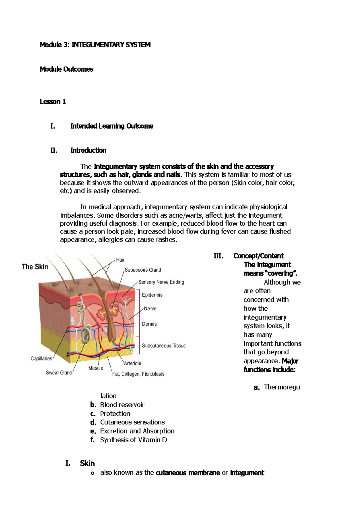 Integ- Muscular - none - Module 3: INTEGUMENTARY SYSTEM Module Outcomes Lesson 1 I. Intended ...