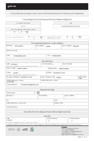 Acuse DE Recibo Electronico - INSTITUTO MEXICANO DEL SEGURO SOCIAL ...