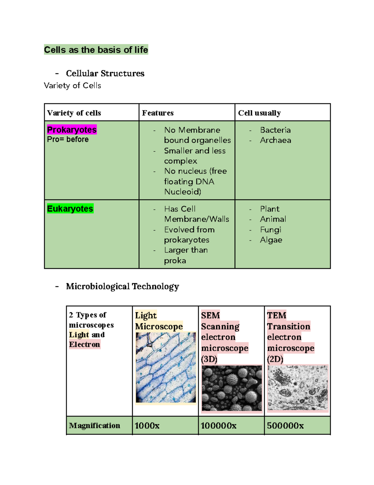 year 11 Exam stuff Biology - Cells as the basis of life - Cellular Structures Variety of Cells ...