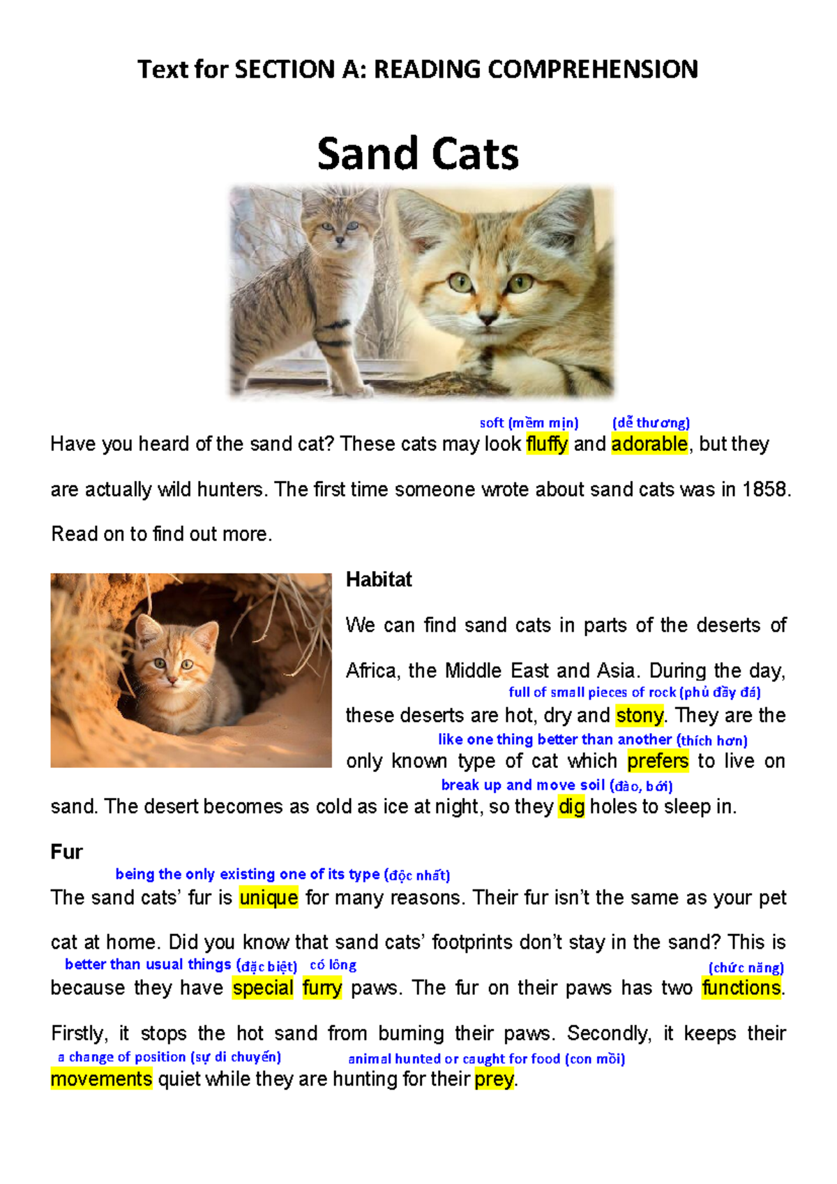 Sand Cats - soft (mềm mịn) (dễ thương) Text for SECTION A: READING ...