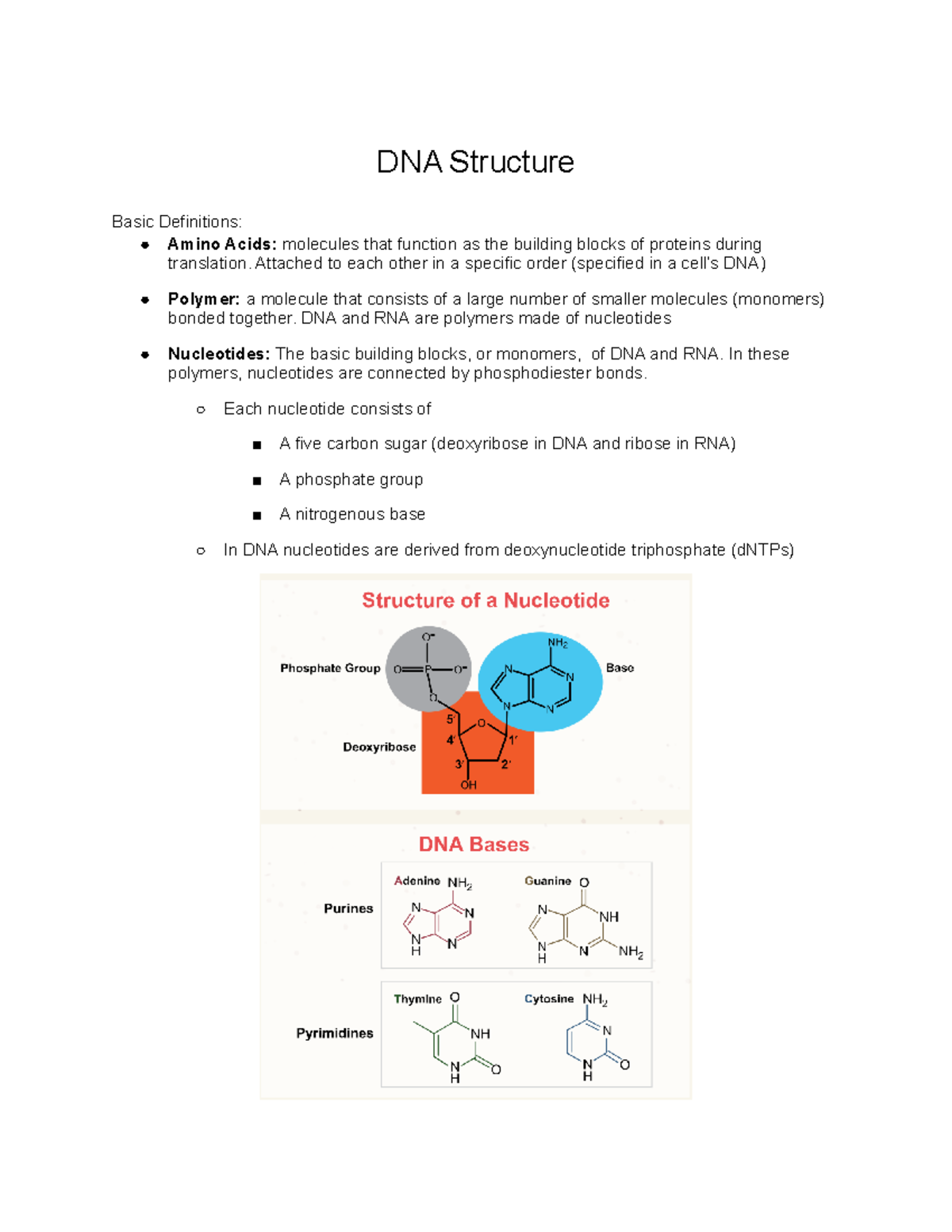 BISC207 SimBio Notes: DNA - DNA Structure Basic Definitions: Amino ...