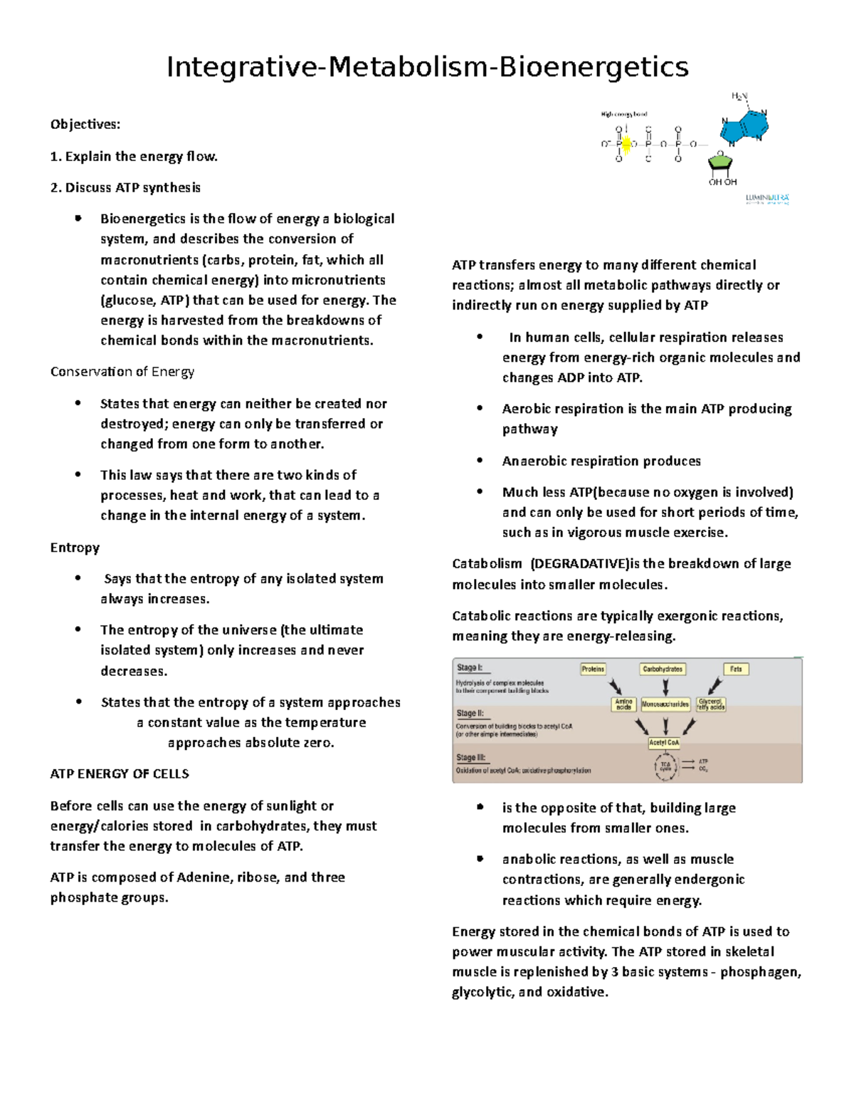 Integrative-Metabolism-Bioenergetics - Integrative-Metabolism ...