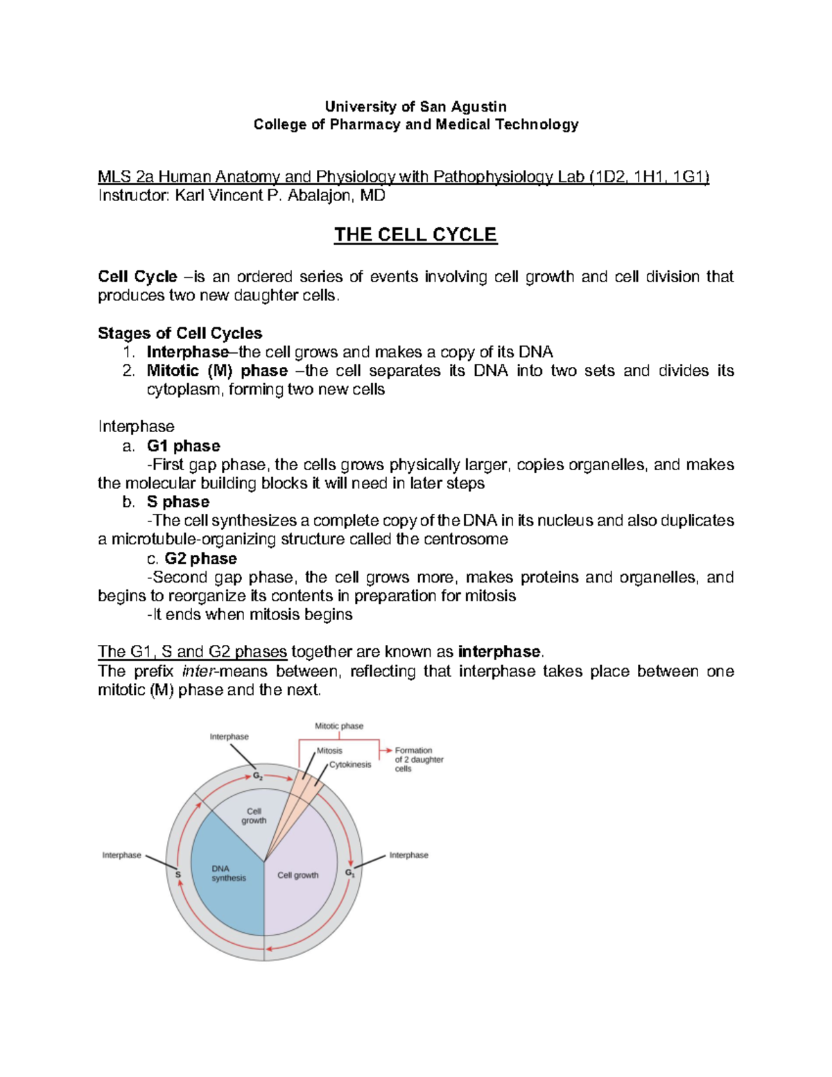 The-Cell-Cycle - notes - University of San Agustin College of Pharmacy ...