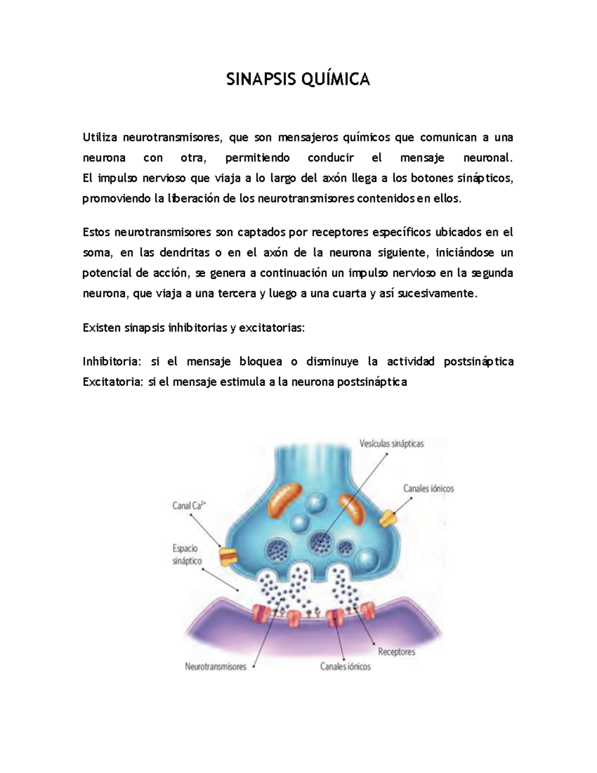 Sinapsis Química - Apuntes 1 - SINAPSIS QUÍMICA Utiliza ...