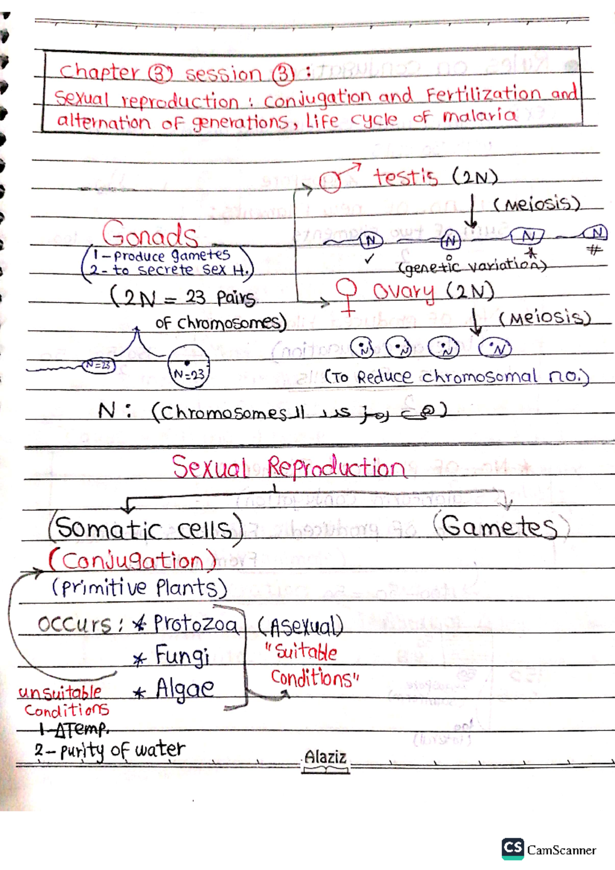 Lec 15 - llllll - Biology 2 (Zoology) - Studocu