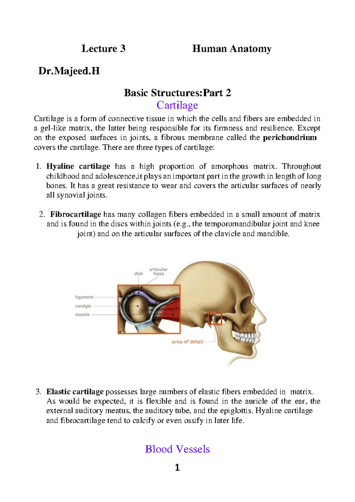 Lecture 3 human anatomy - Lecture 3 Human Anatomy Dr.Majeed Basic ...