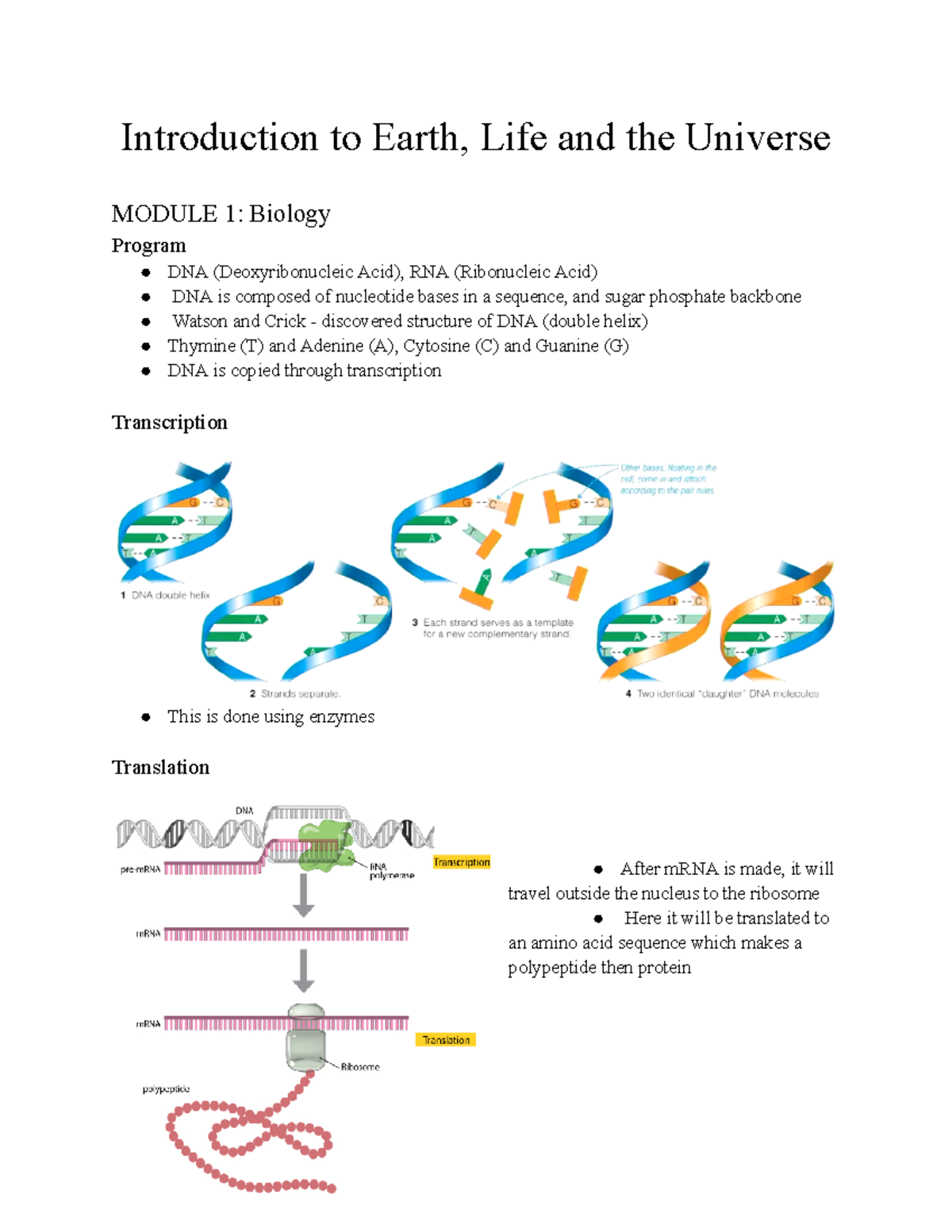 Basic dot point life, earth and the universe notes for module 1 biology ...