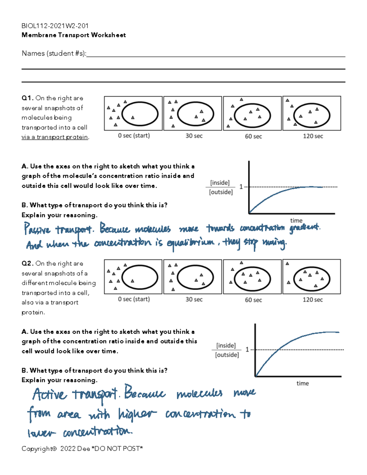 6-Transport Activity Worksheet - BIOL 112 - UBC - Studocu