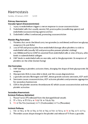 Nervous System - General - 2401 - Anatomy & Physiology I: Nervous ...