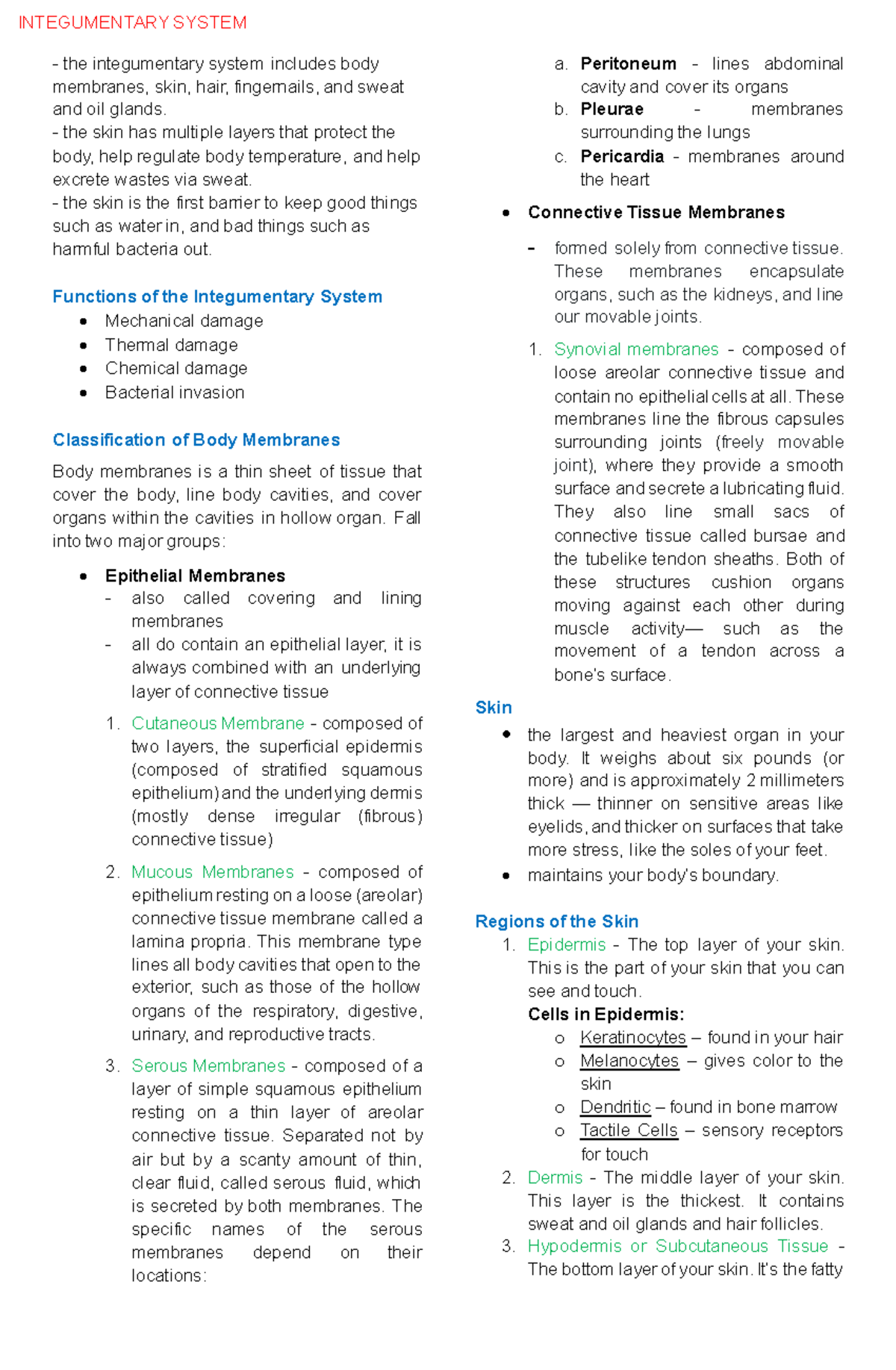 Integumentary system quiz reviewer - the integumentary system includes ...
