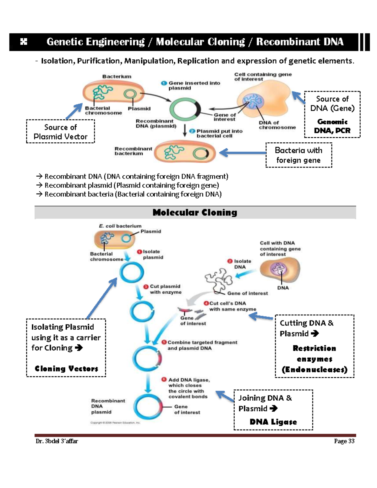 11 - Medical microbiology - Genetic Engineering / Molecular Cloning ...