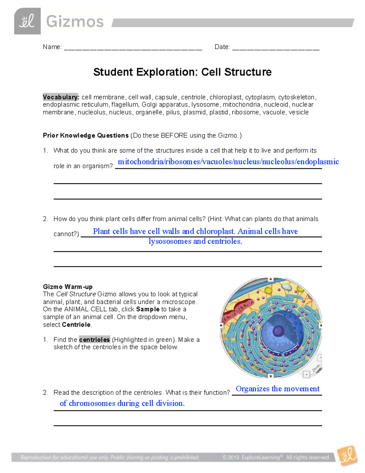 Cell Structure Gizmo SE - Name ...