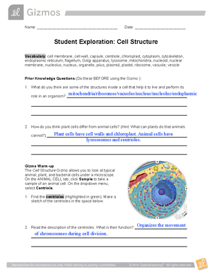 Cycles of Matter Worksheet - Name Class Date //___ Cycles of Matter ...