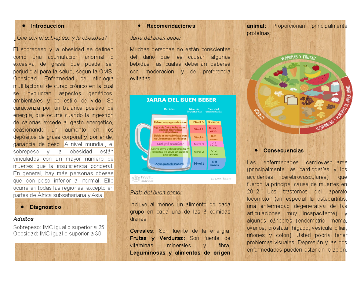 Triptico-Mejorar Habitos-Prevencion De Obesidad YSobrepeso ...