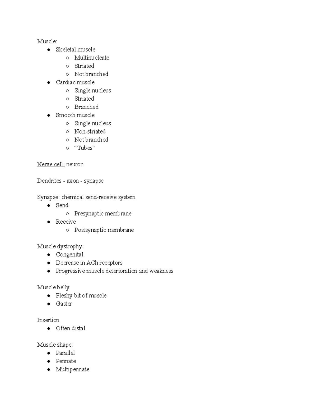 Anatomy Muscles - Pederson - Muscle: Skeletal muscle Multinucleate ...