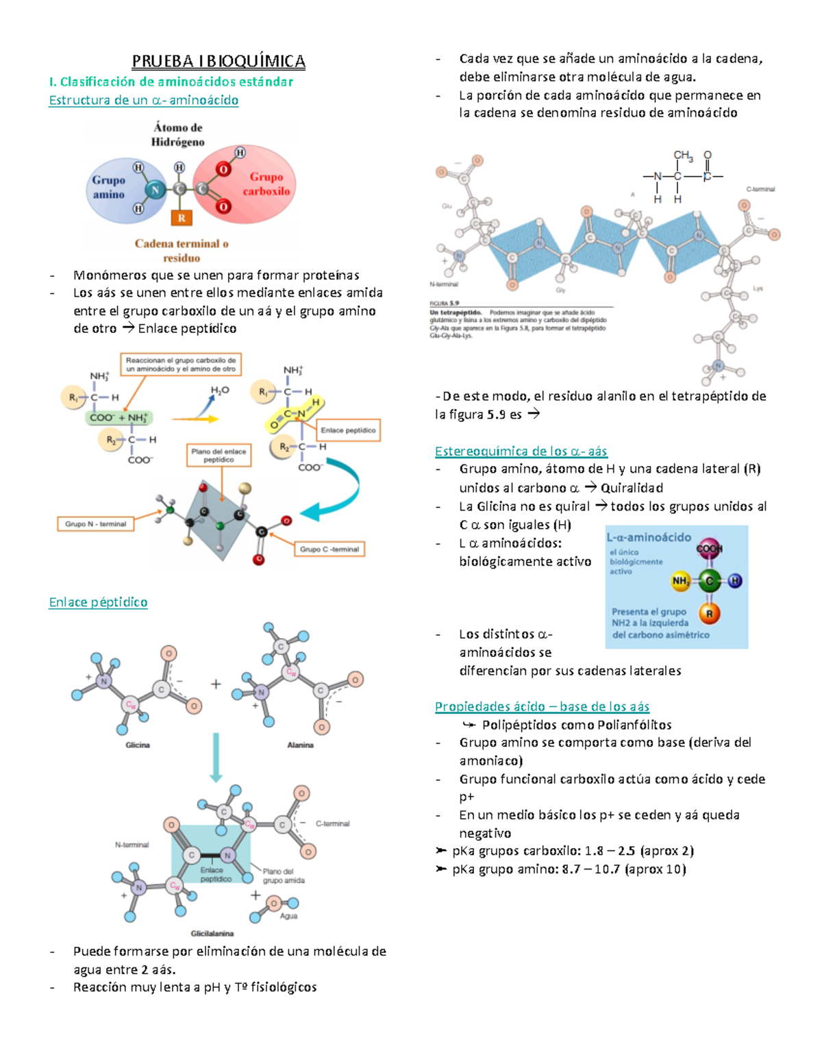 Bioqca 1 - Apuntes de primeras unidades de bioquimica, proteínas ...