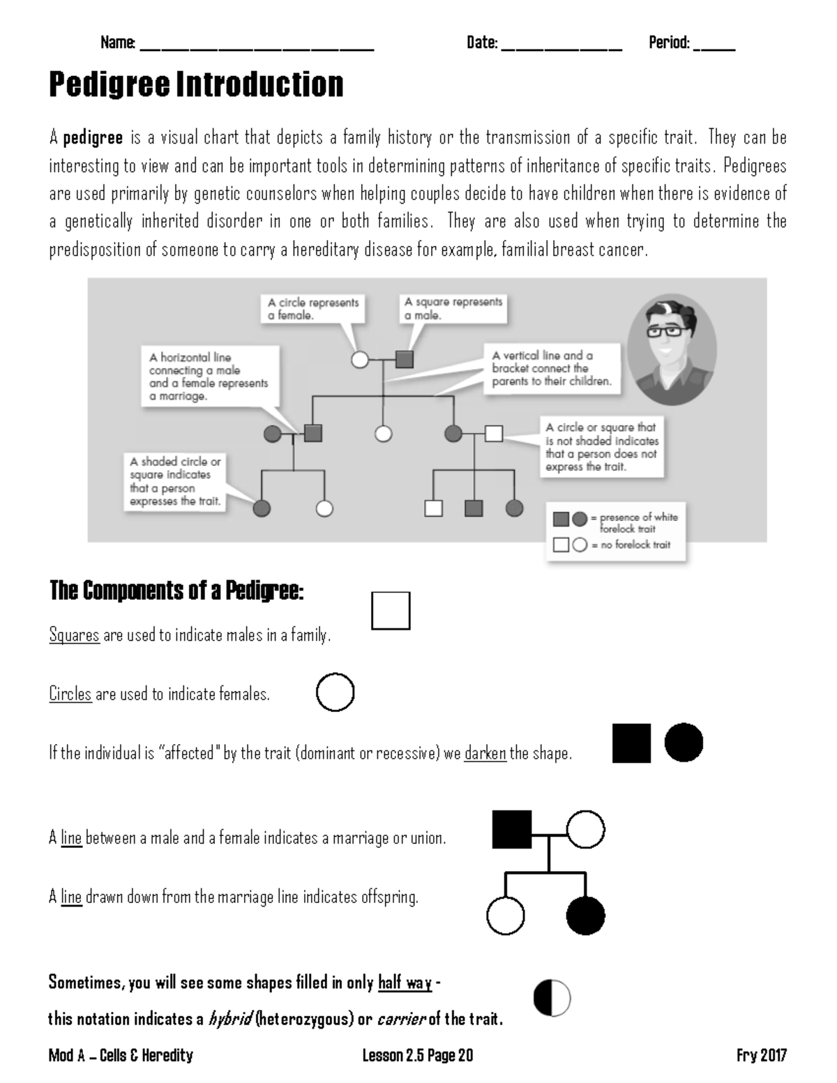 2.5 Pedigree Practice Packet - Pedigree Introduction A pedigree is a ...